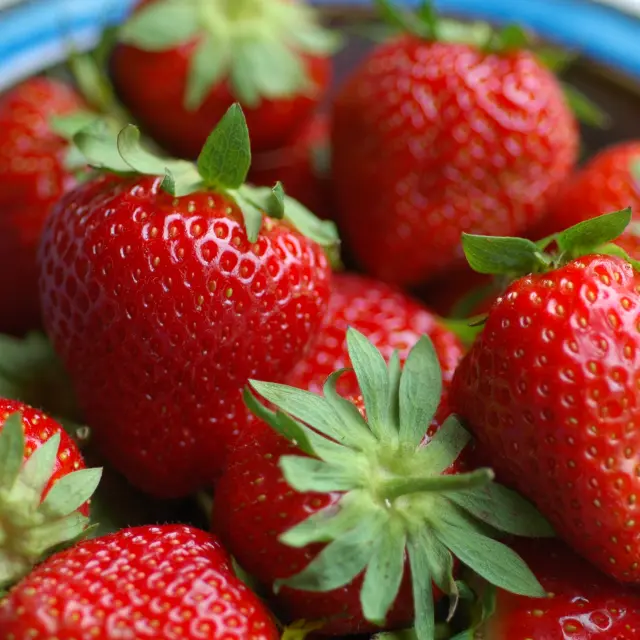 La fête de la fraise – Beaulieu-sur-Dordogne
